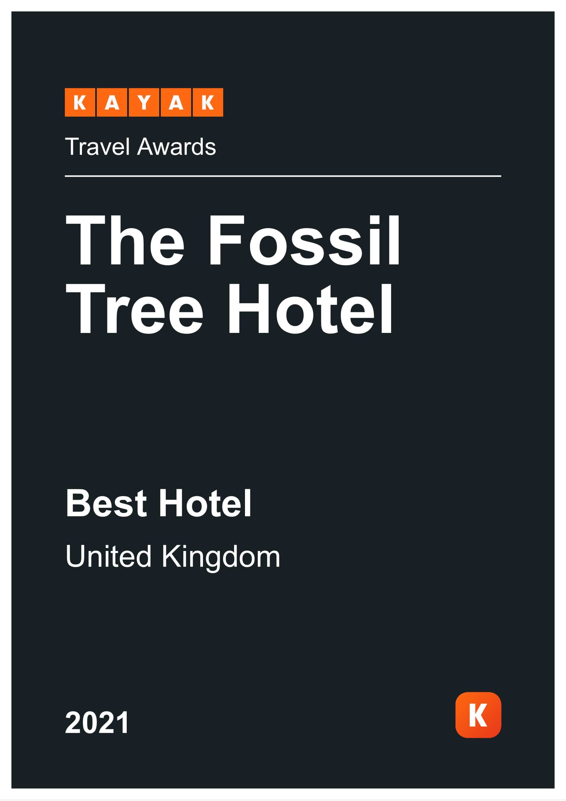 The Fossil Tree Hotel The Fossil Tree Hotel | Comfortable & Relaxing ...